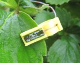 Leaf Sensor Rev4 w/connector, cable and software CD-ROM