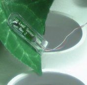 Leaf Sensor Rev4 w/connector, cable and software CD-ROM